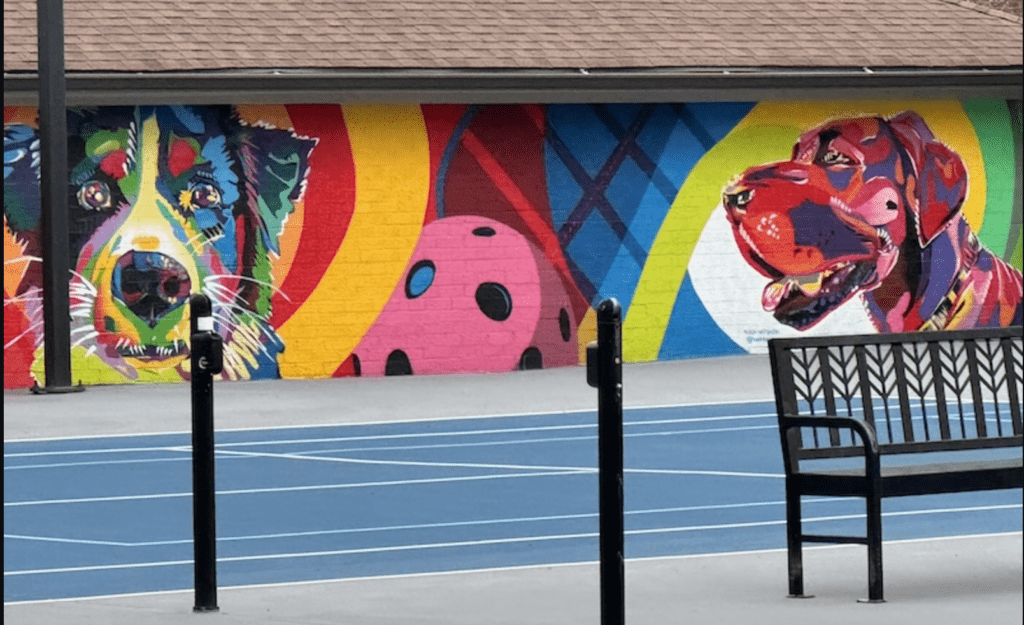 The Intersection of Art and Pickleball Paddles | Happy People Pickleball